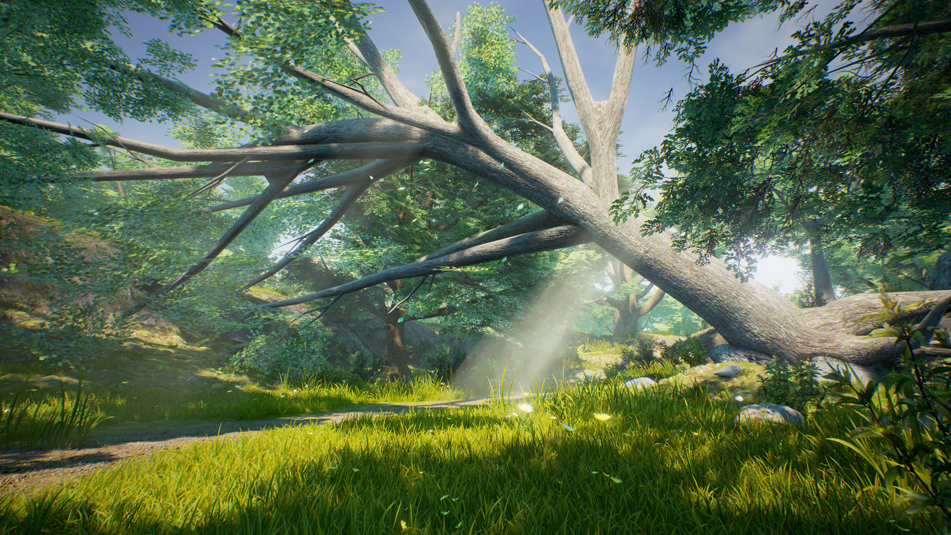 Alex Winslow - Dose: Forest Environments
