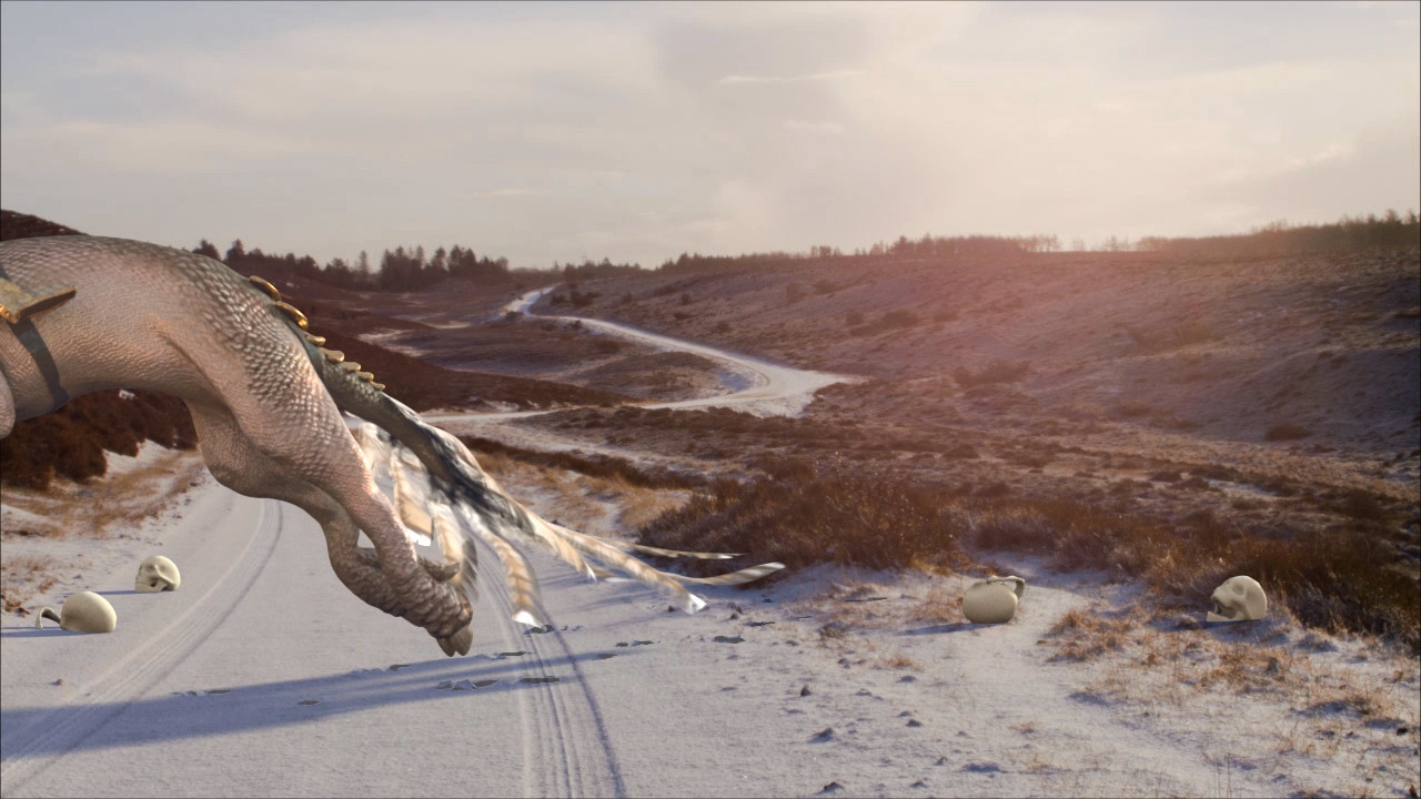 Kristine Kjærsgaard Hansen - Kevin - textures