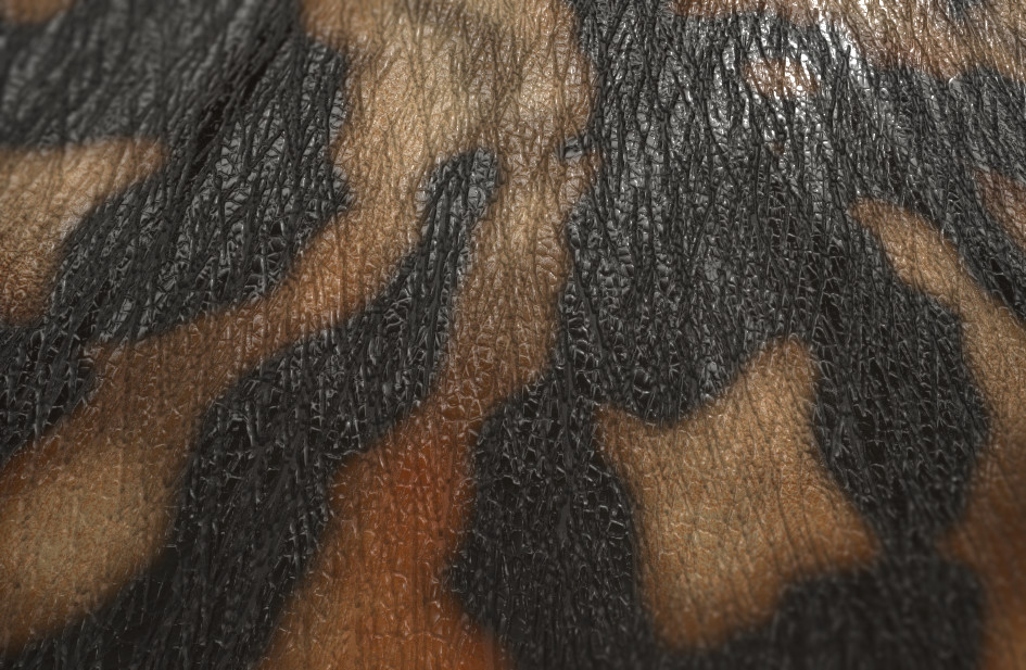 ArtStation - Insect skin - substance (WIP), Céline Dameron