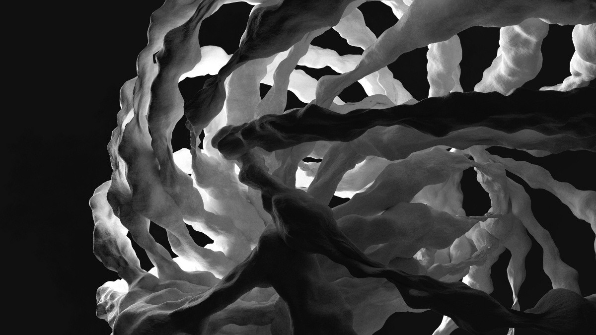 ArtStation - Alien Form