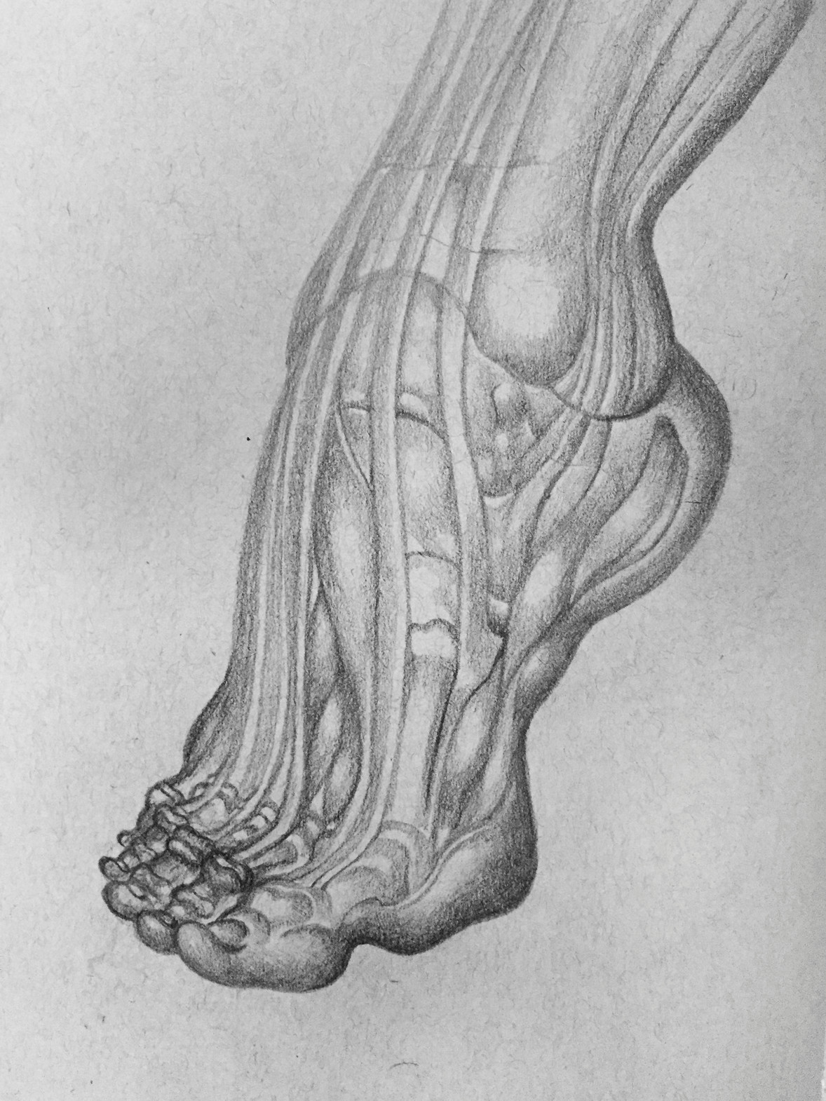 ArtStation - Foot Study