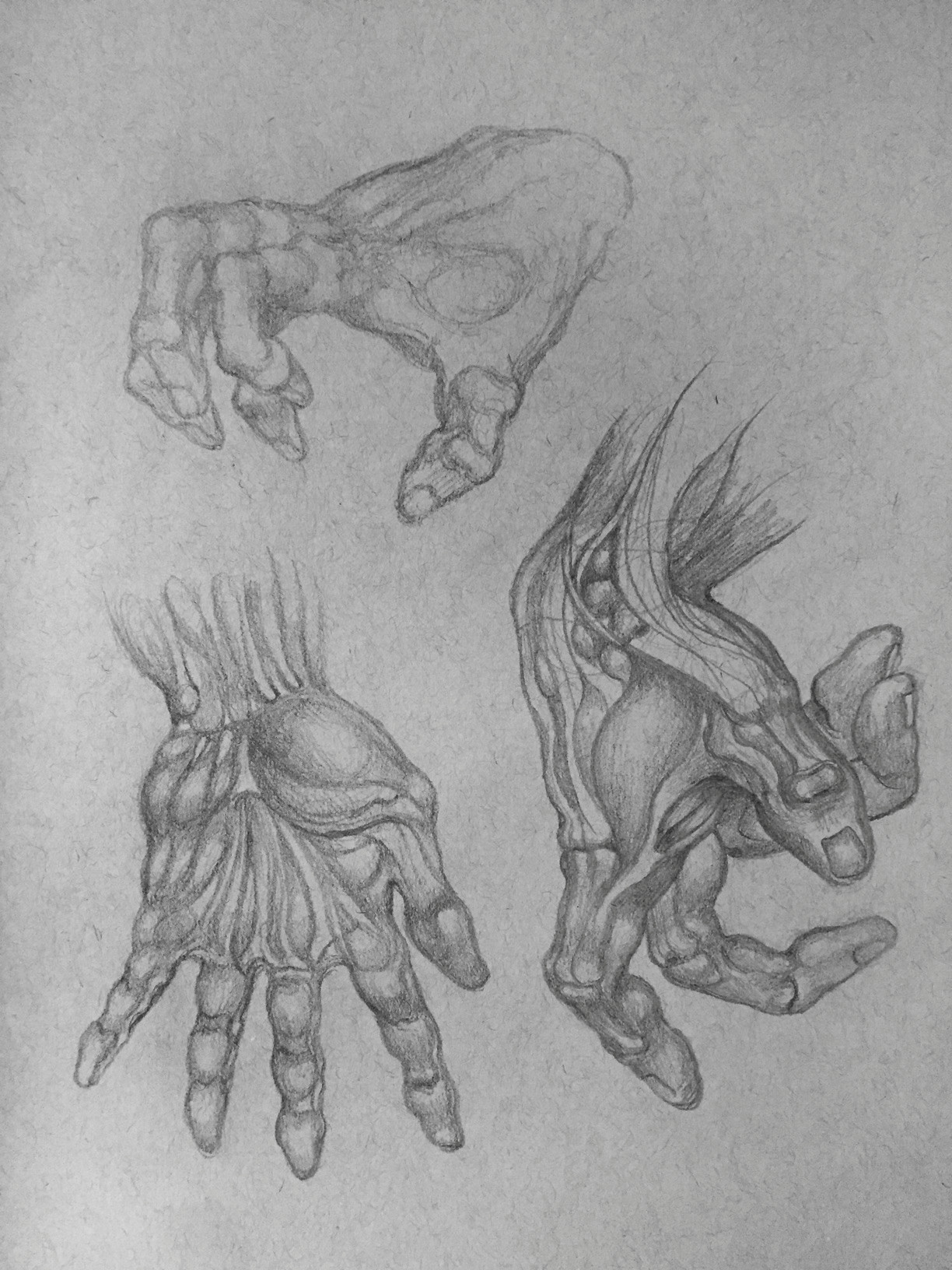 ArtStation - Hand Study 01