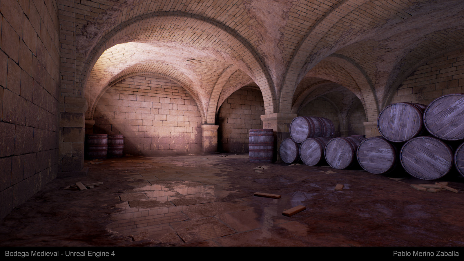 Pablo Merino - Medieval Cellar