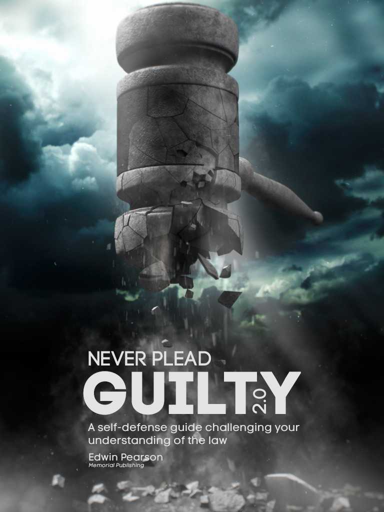 ArtStation - Never Plead Guilty Book Cover