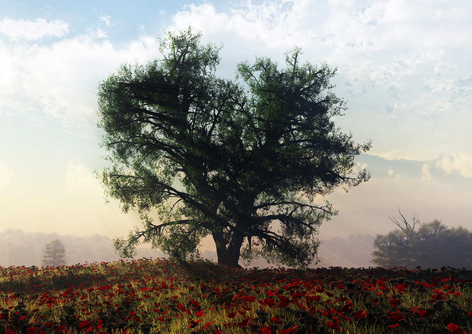 ArtStation - Warm mood...