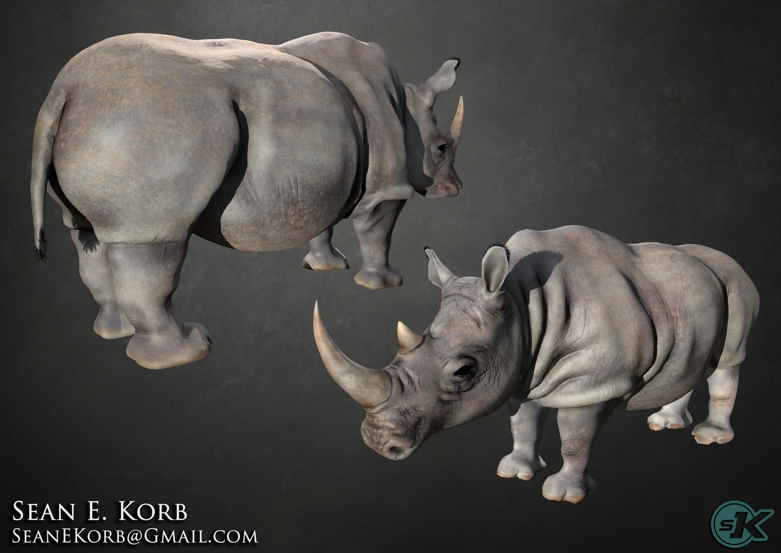 Sean Korb - GPF 3 Rhinoceros Anatomy Study