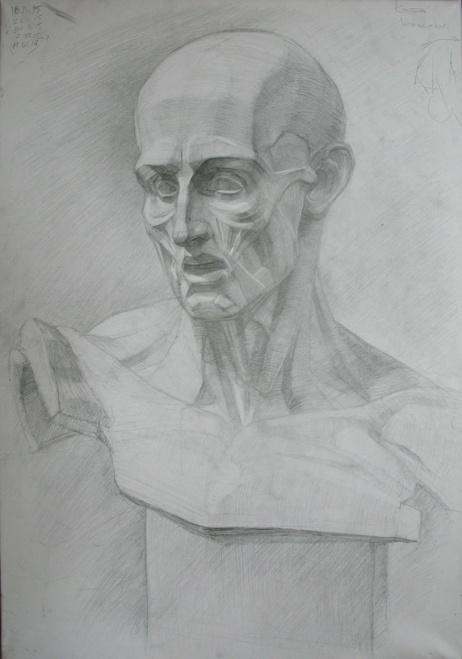 ArtStation - Écorché