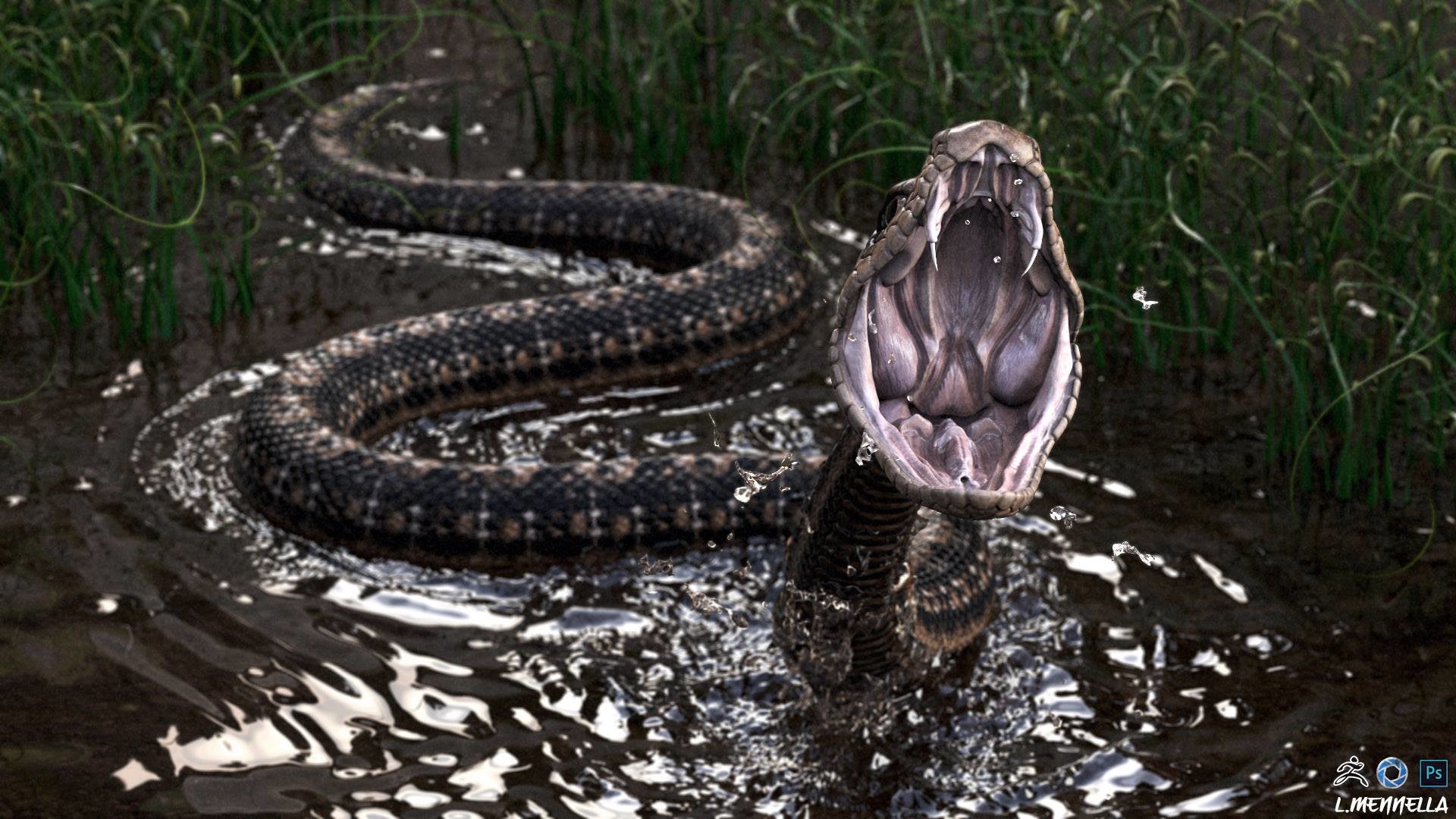 Lisian Mennella - Snake