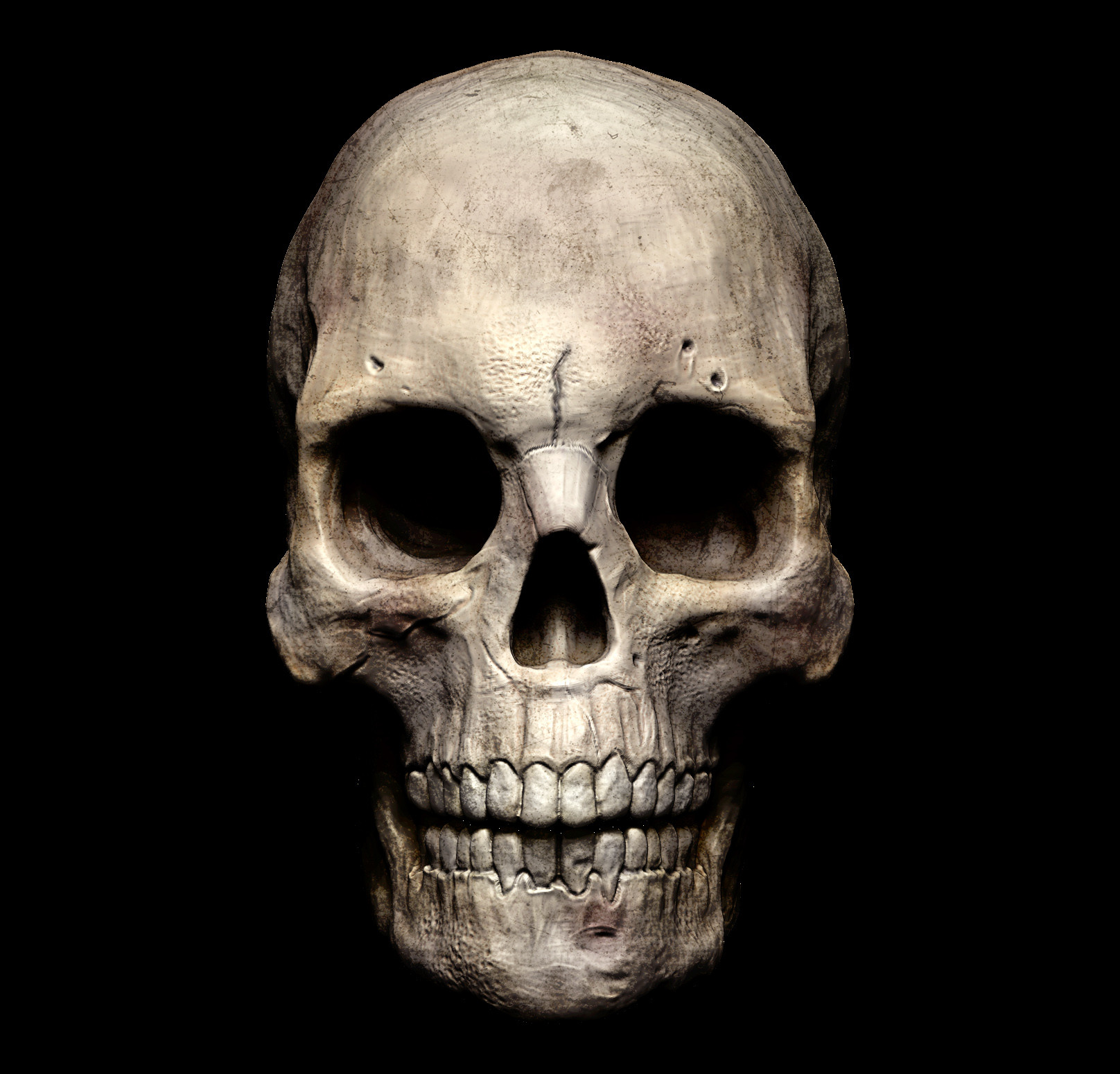 monogloid skull