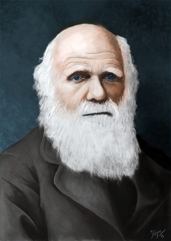 ArtStation - Darwin