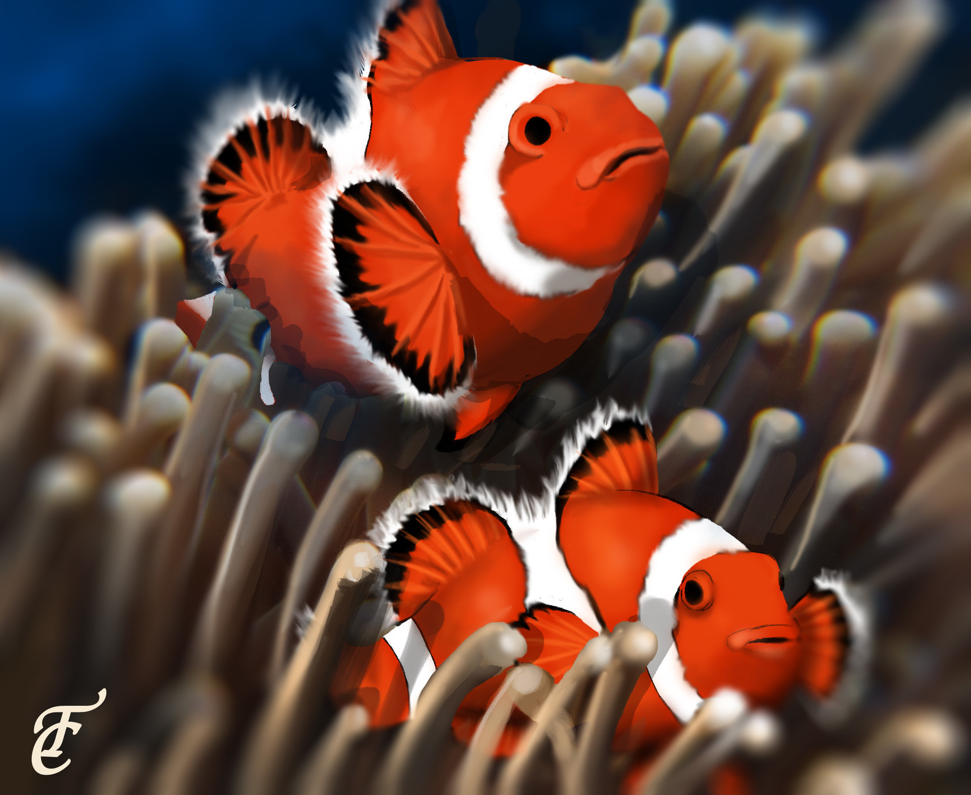 ArtStation - Clown Fish