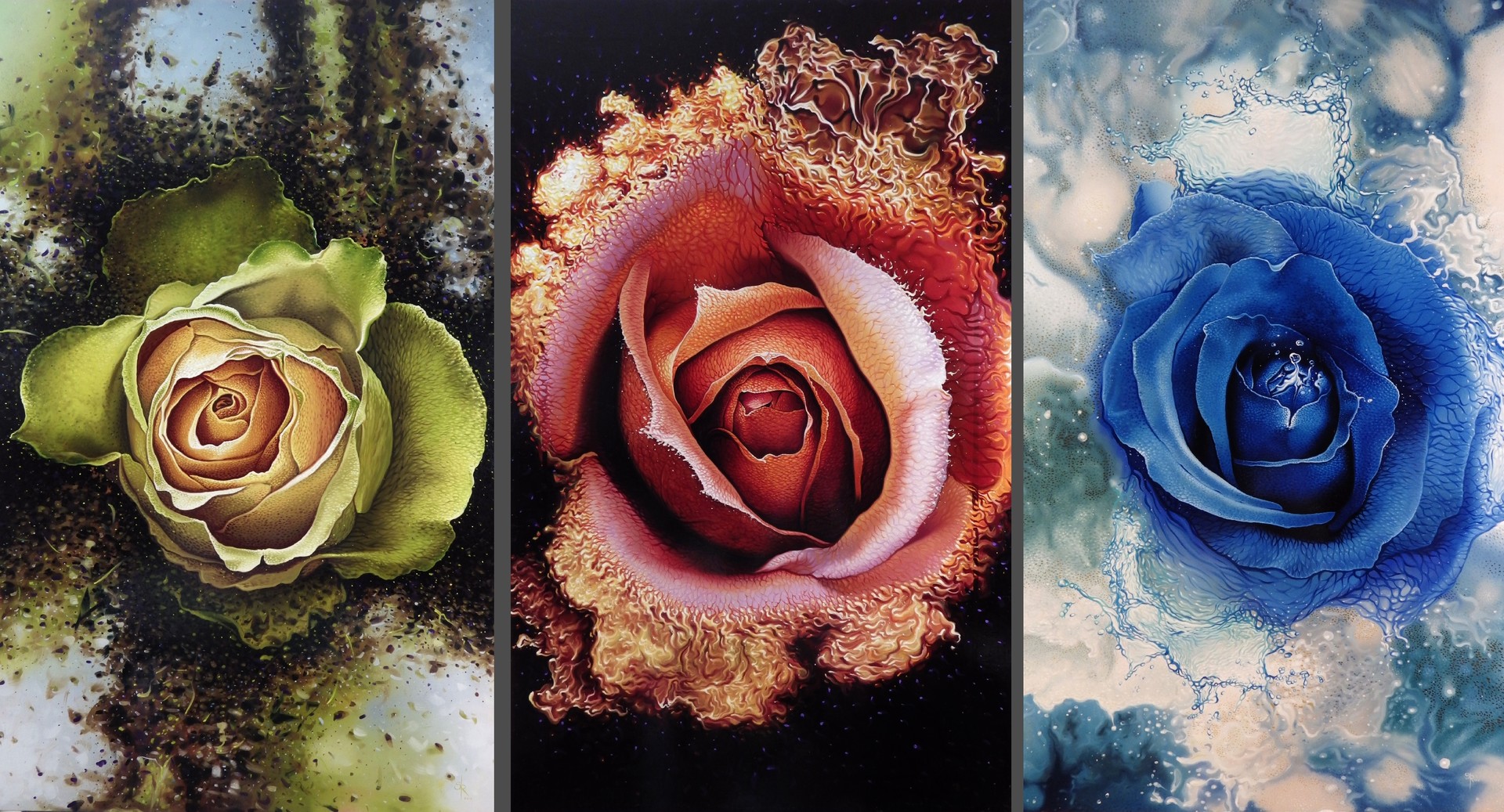 Steven Rogers - Passion