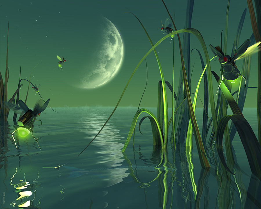 ArtStation - Electric Fireflies