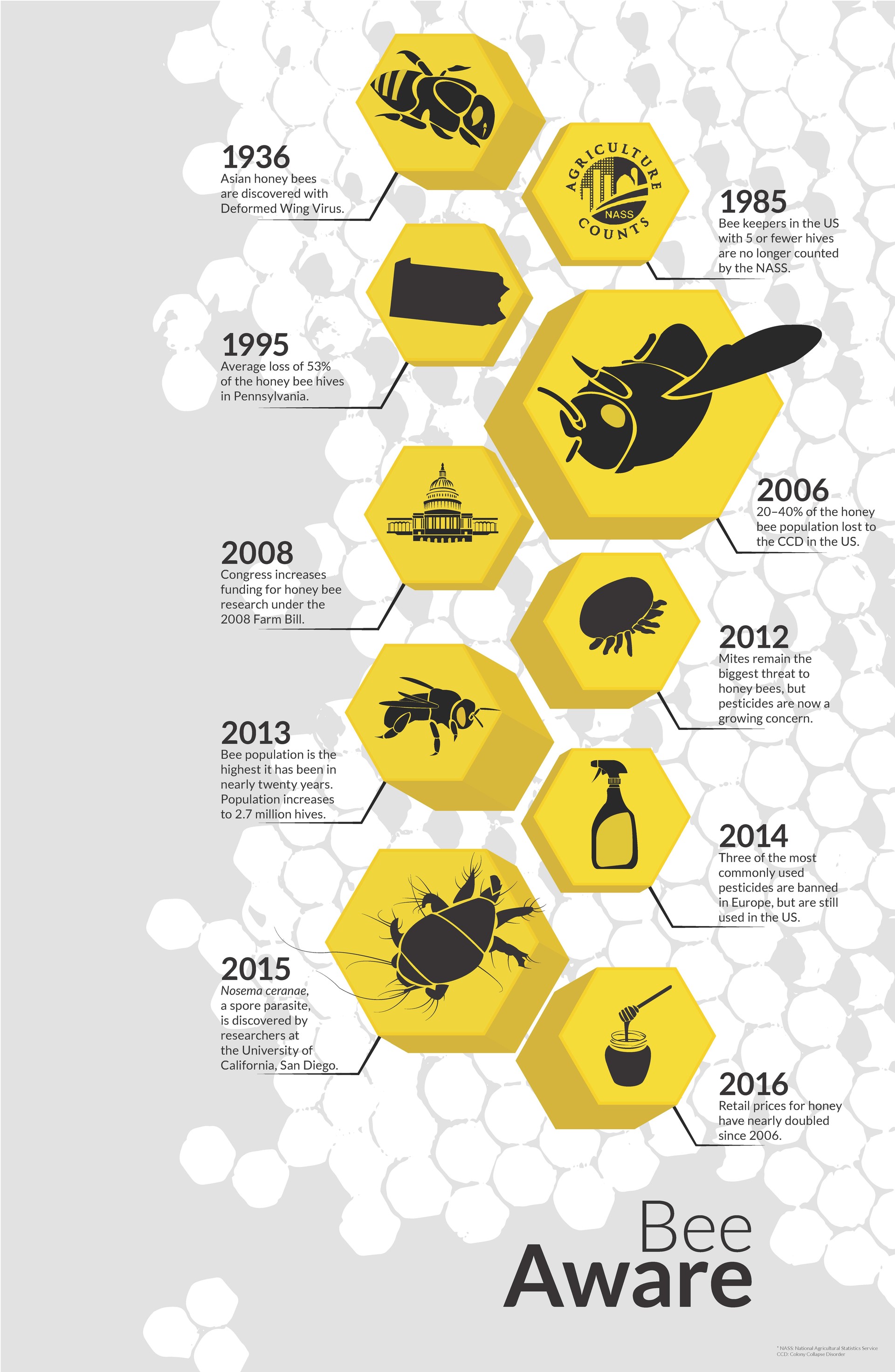 Samantha Canter - Bee Aware