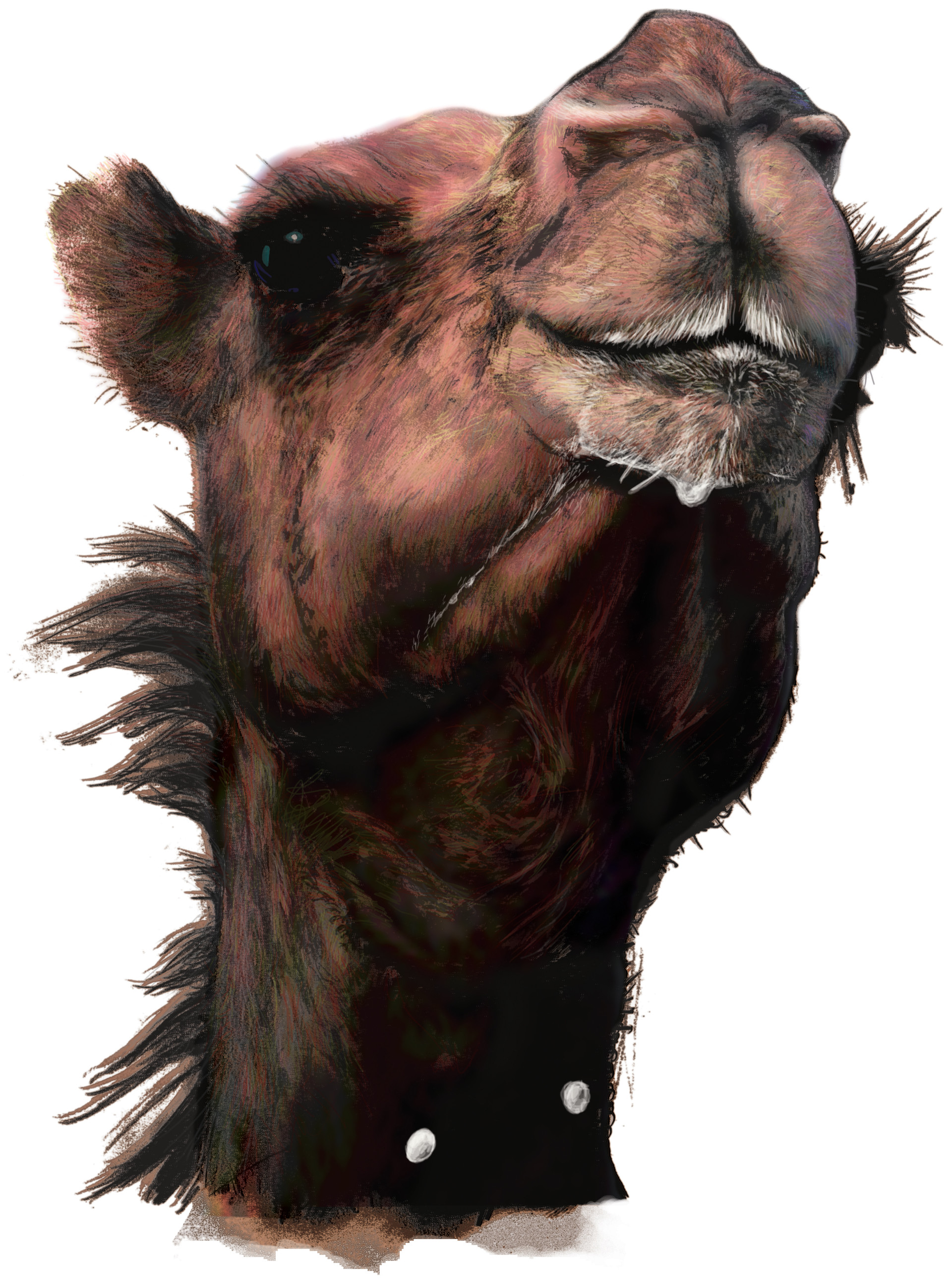 ArtStation - Fonké Knomaads: Cleopatra's Bathmilk CD art