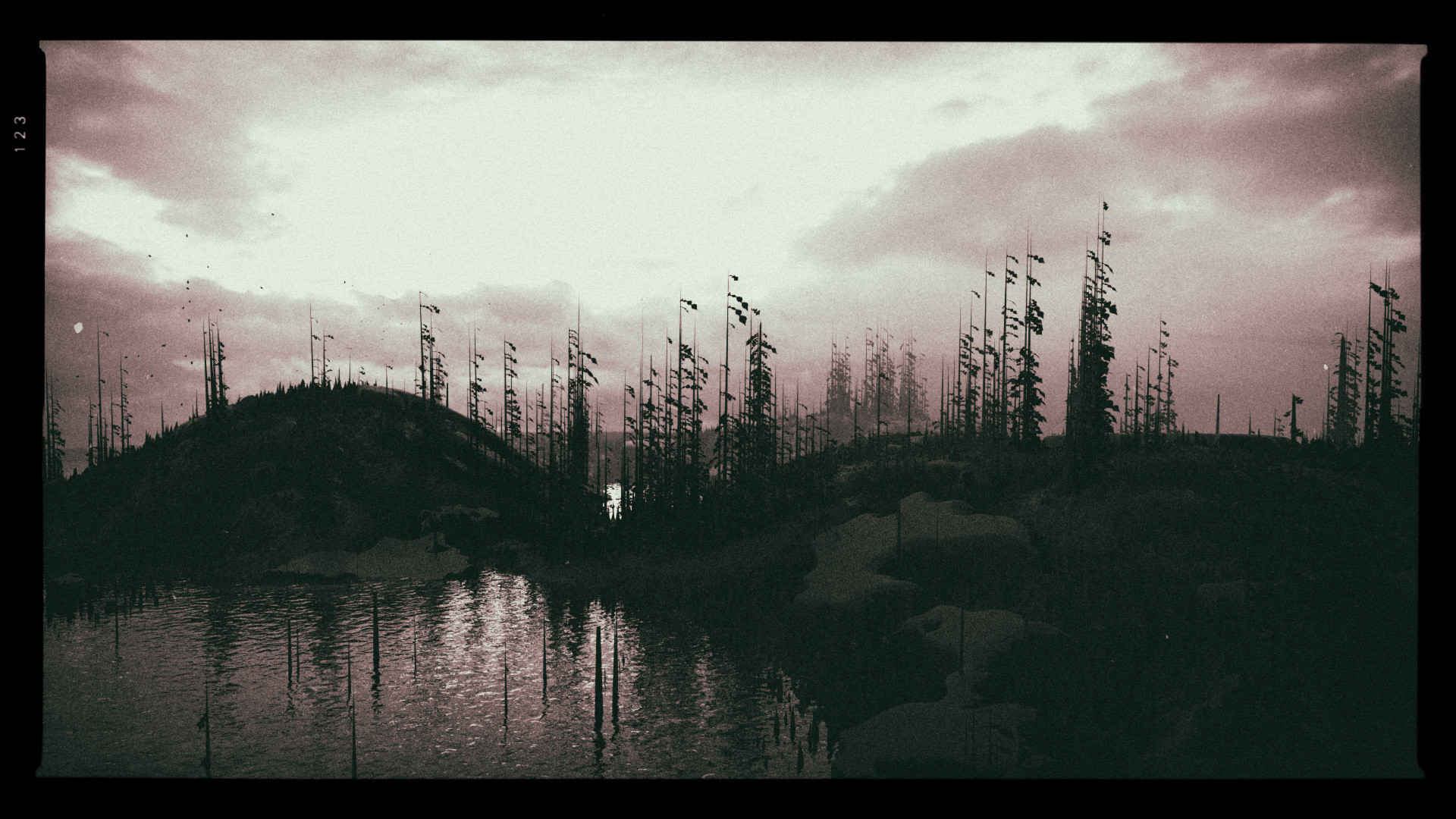 Joseph Drust - Noise Forest