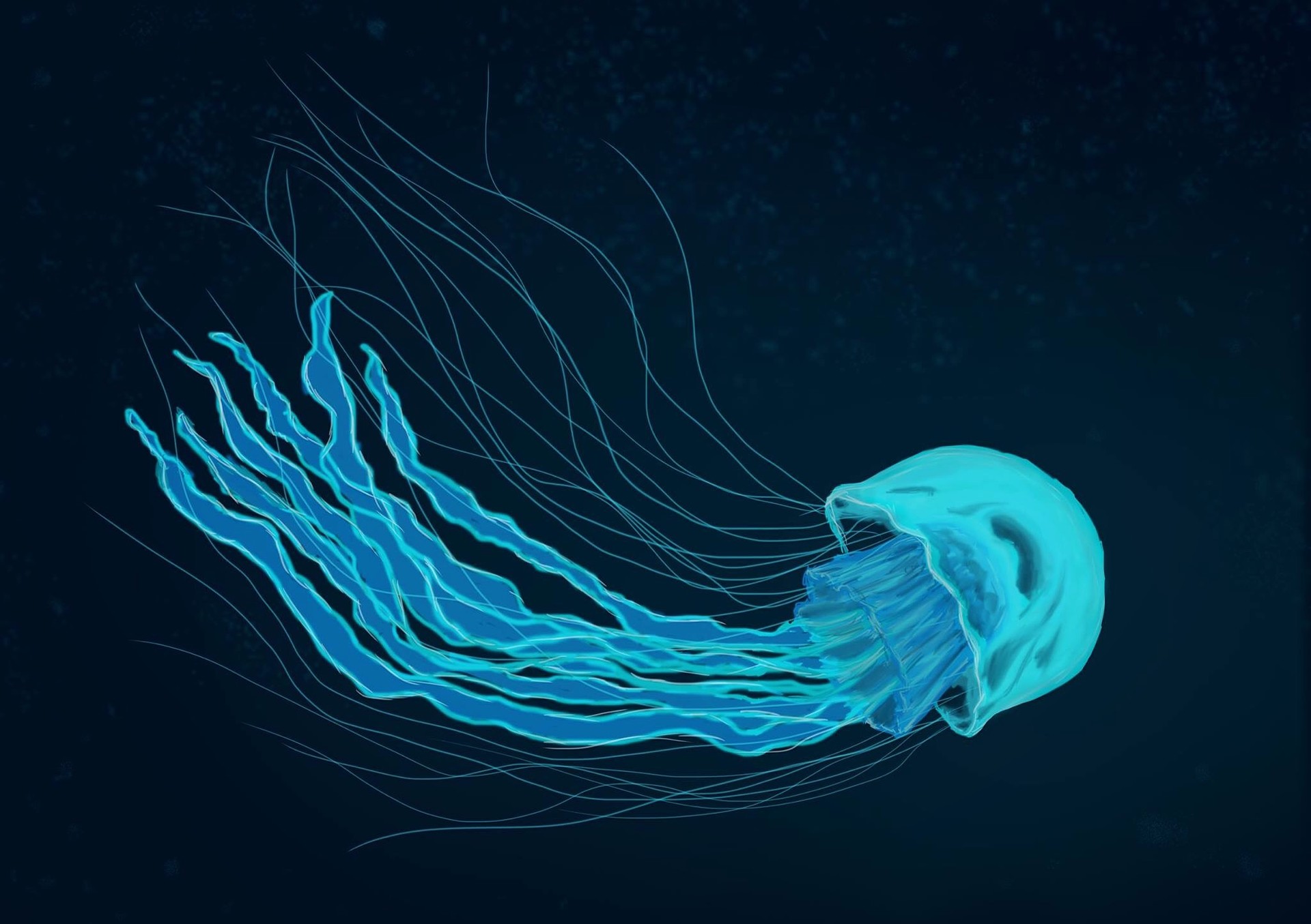 Kyla Louise Gray - Glowing jellyfish