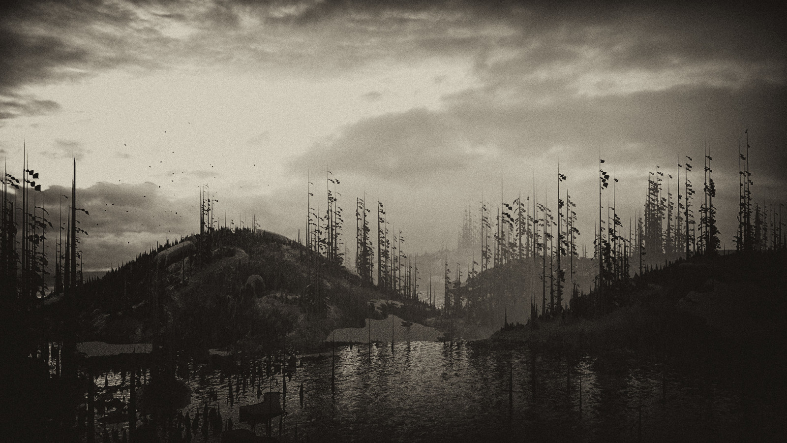 Joseph Drust - Noise Forest