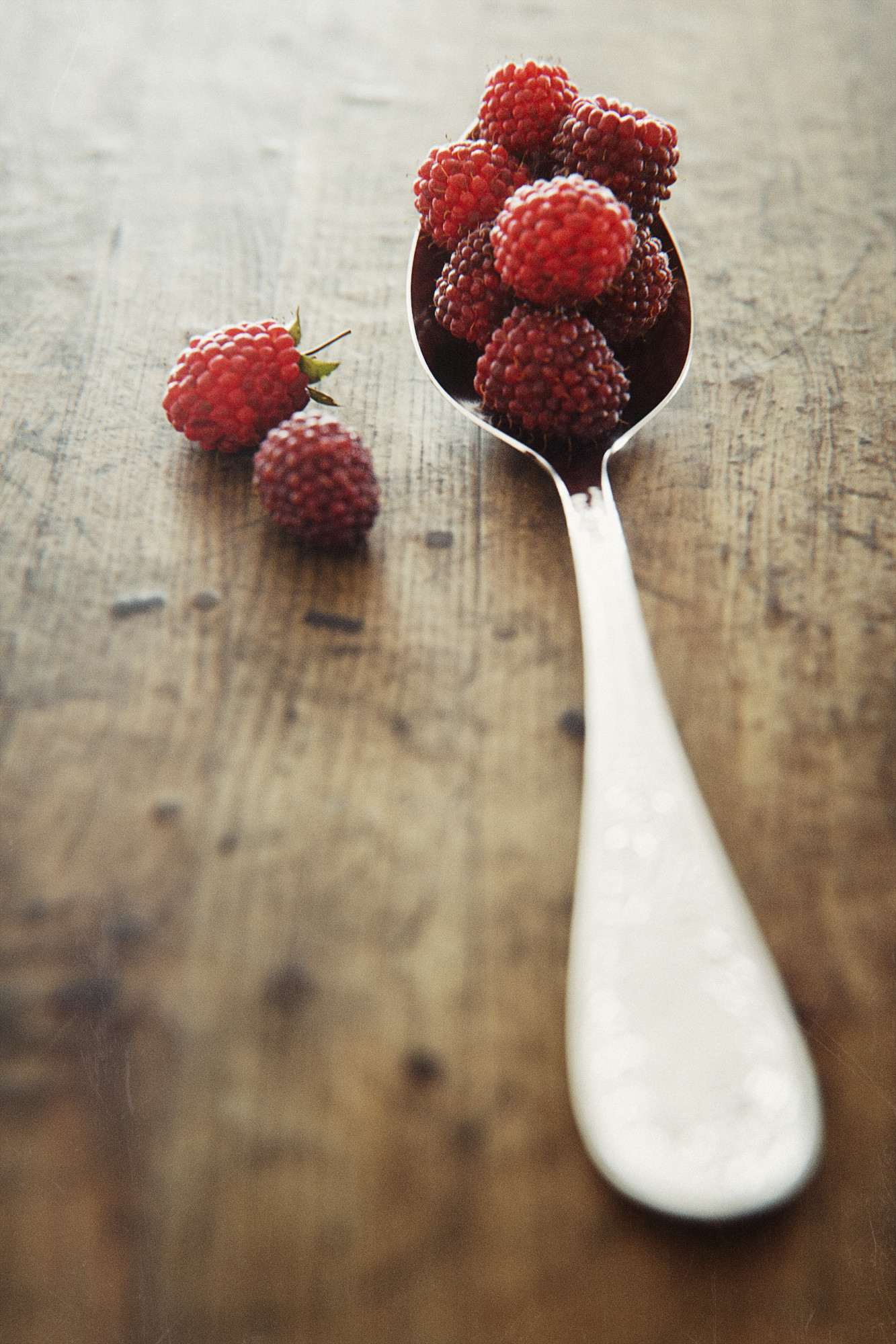 ArtStation - Octane Render Experiments