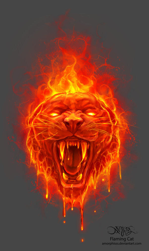ArtStation - Flaming Cat