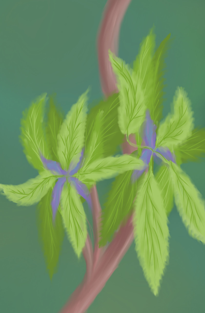 ArtStation - Leaf Bloom