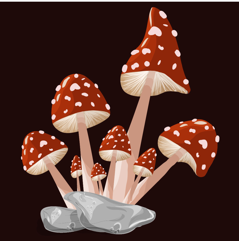 ArtStation - Fantasy amanita mushrooms hand drawing vector illustration
