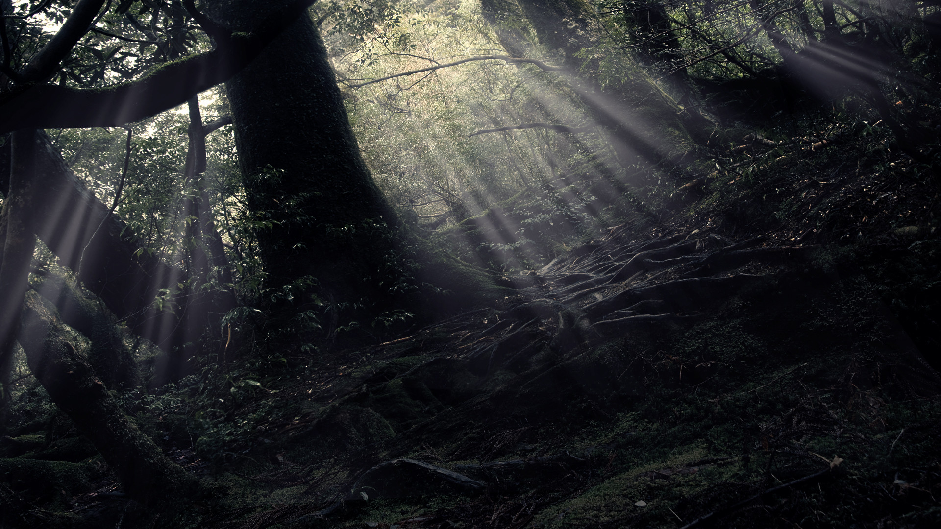 ArtStation - Mattepaintings