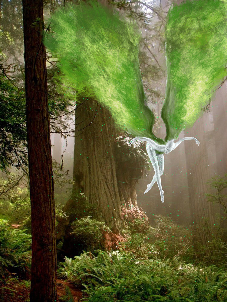 ArtStation - Forest Pixi