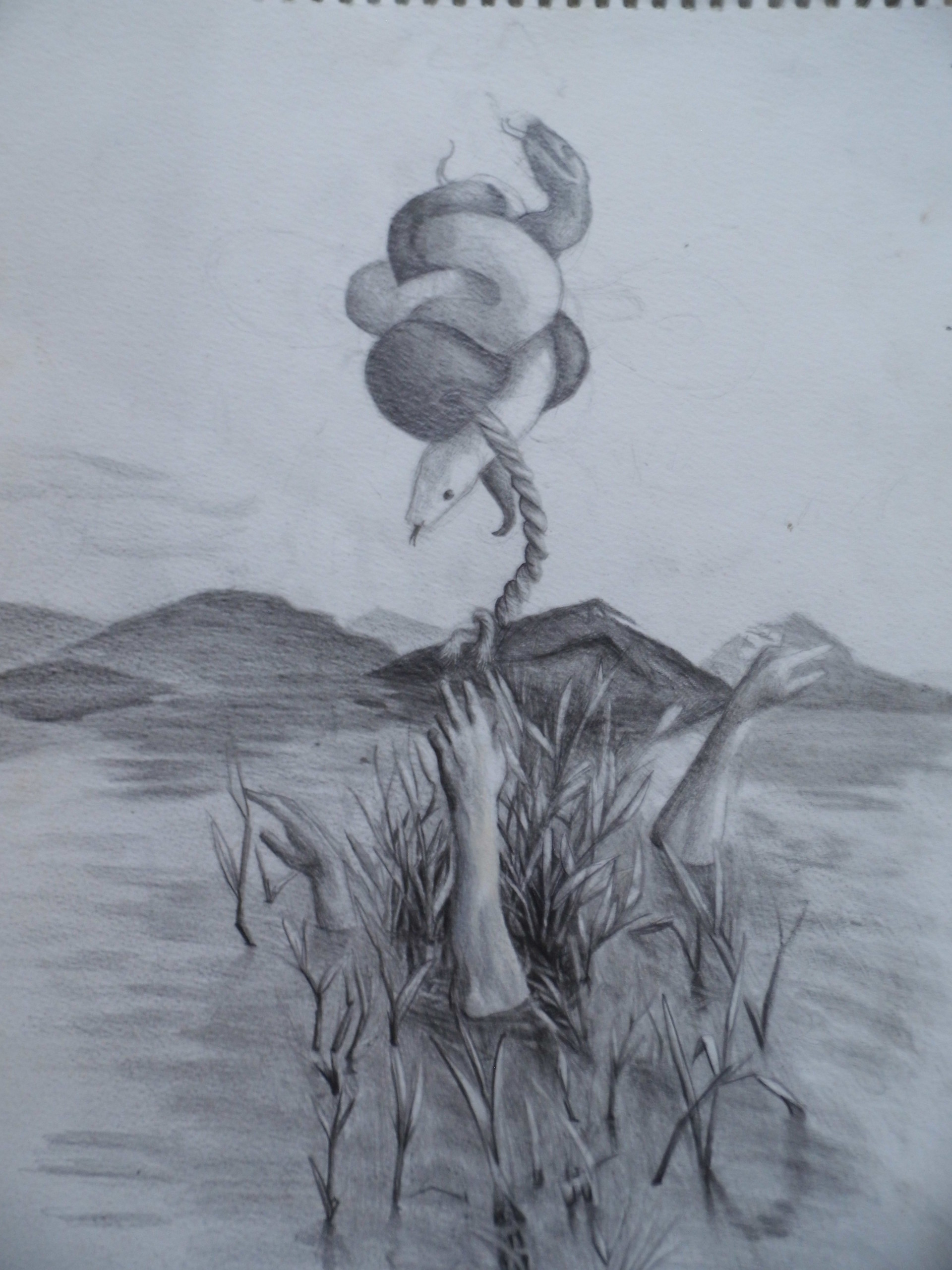 ArtStation - strugle