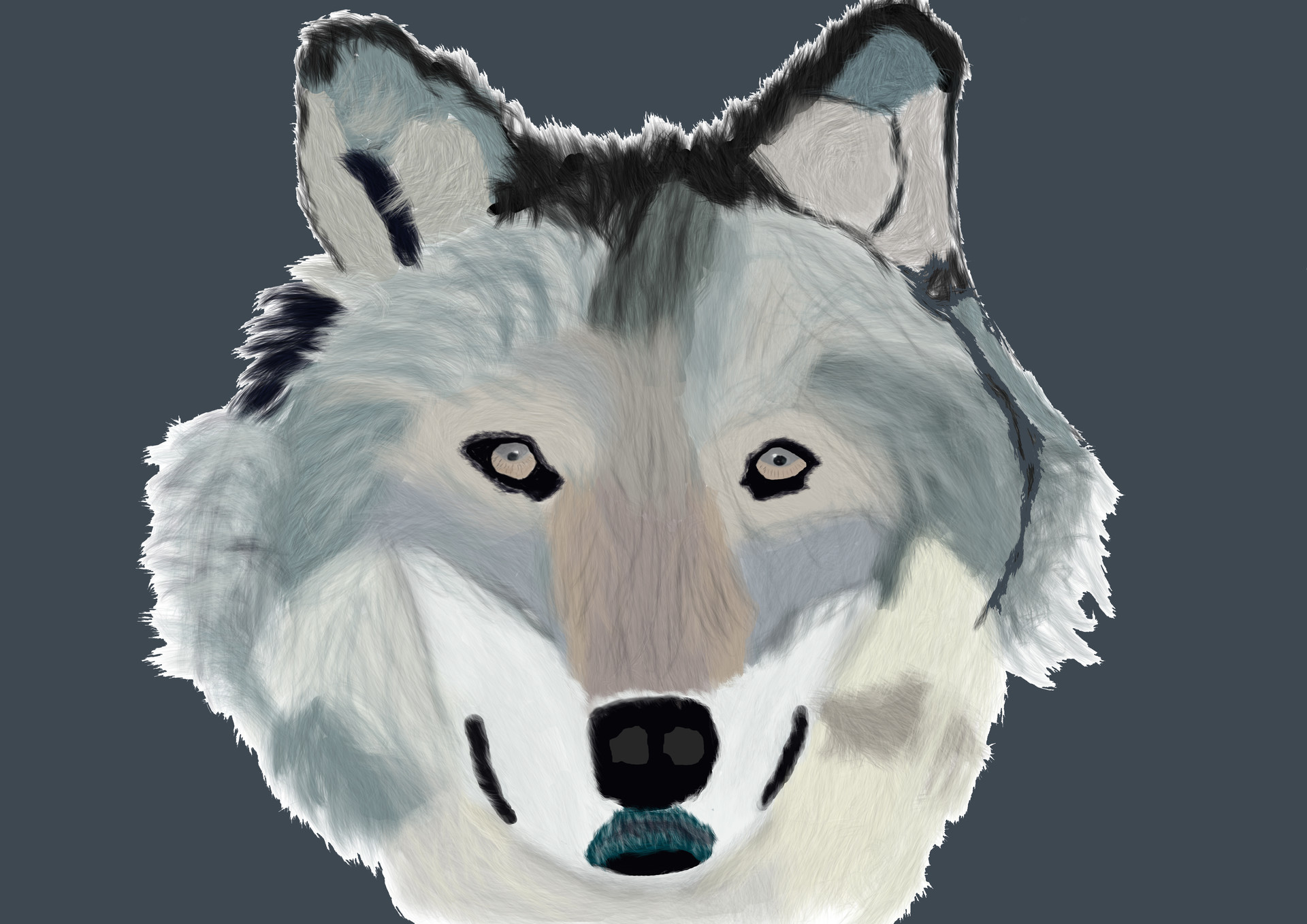 ArtStation - Wolf - Concept Art