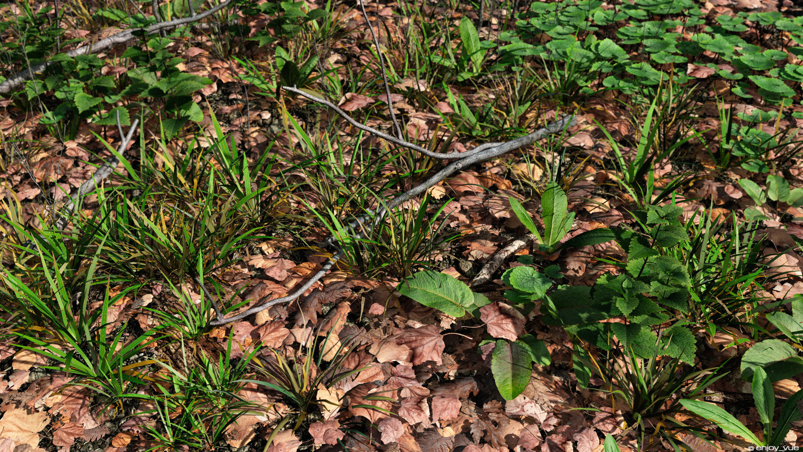 ArtStation - ground cover