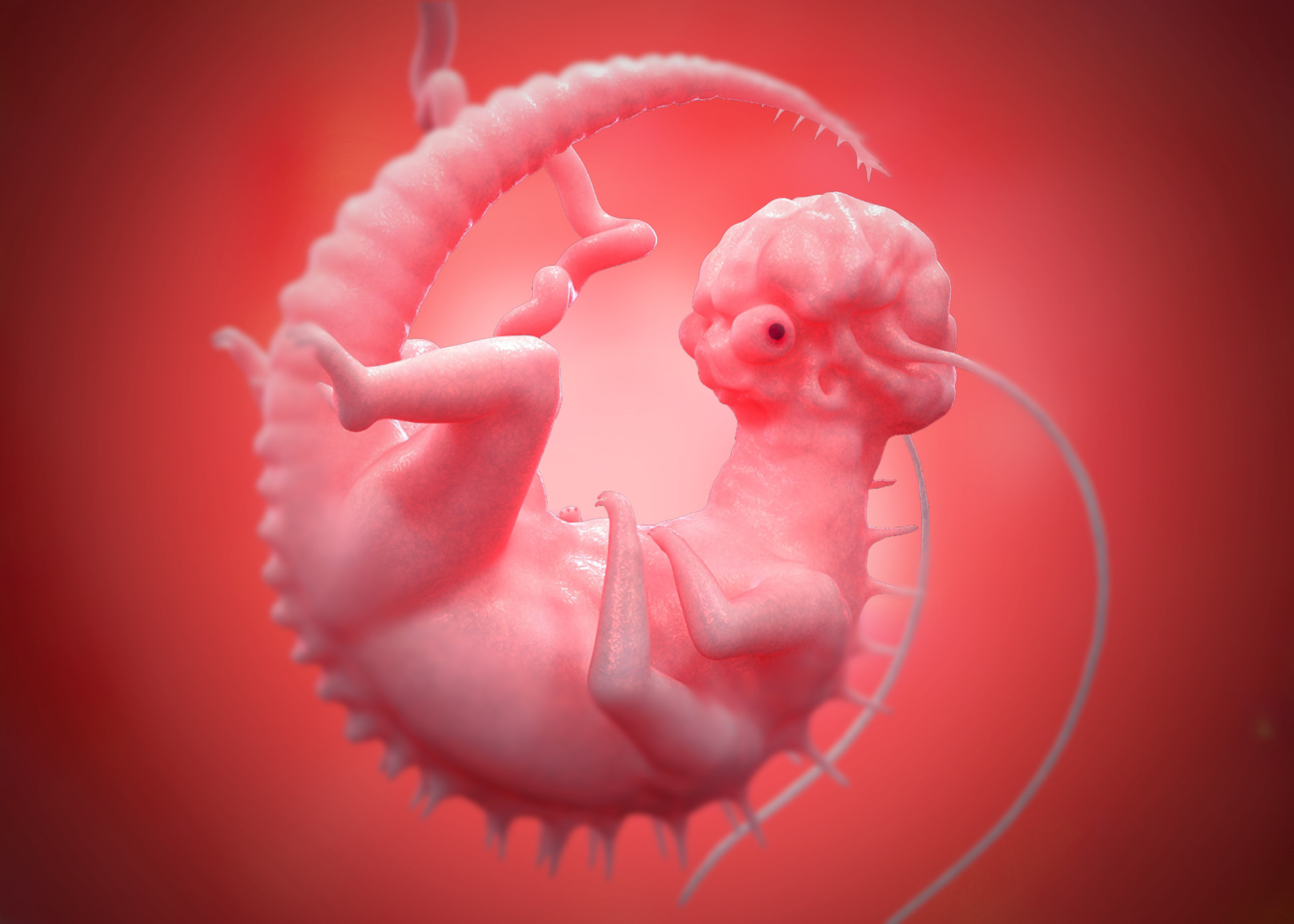 ArtStation - Fetus Alien Concept WIP
