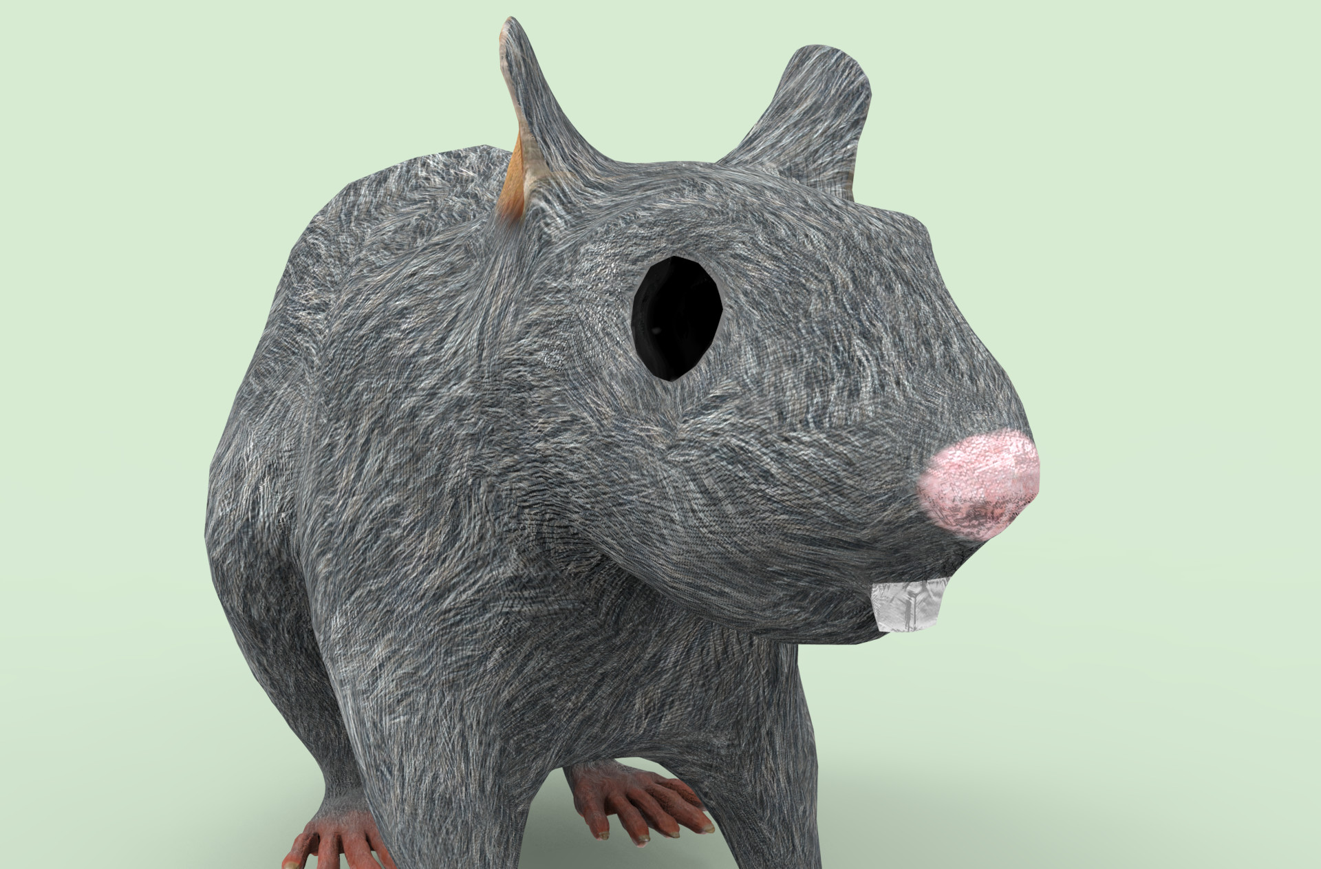 ArtStation - Low-poly rat
