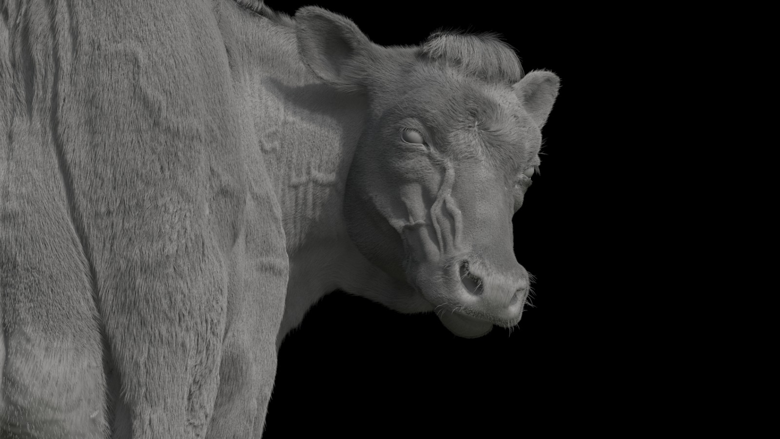 Piotr Tatar - Cow - Turntable