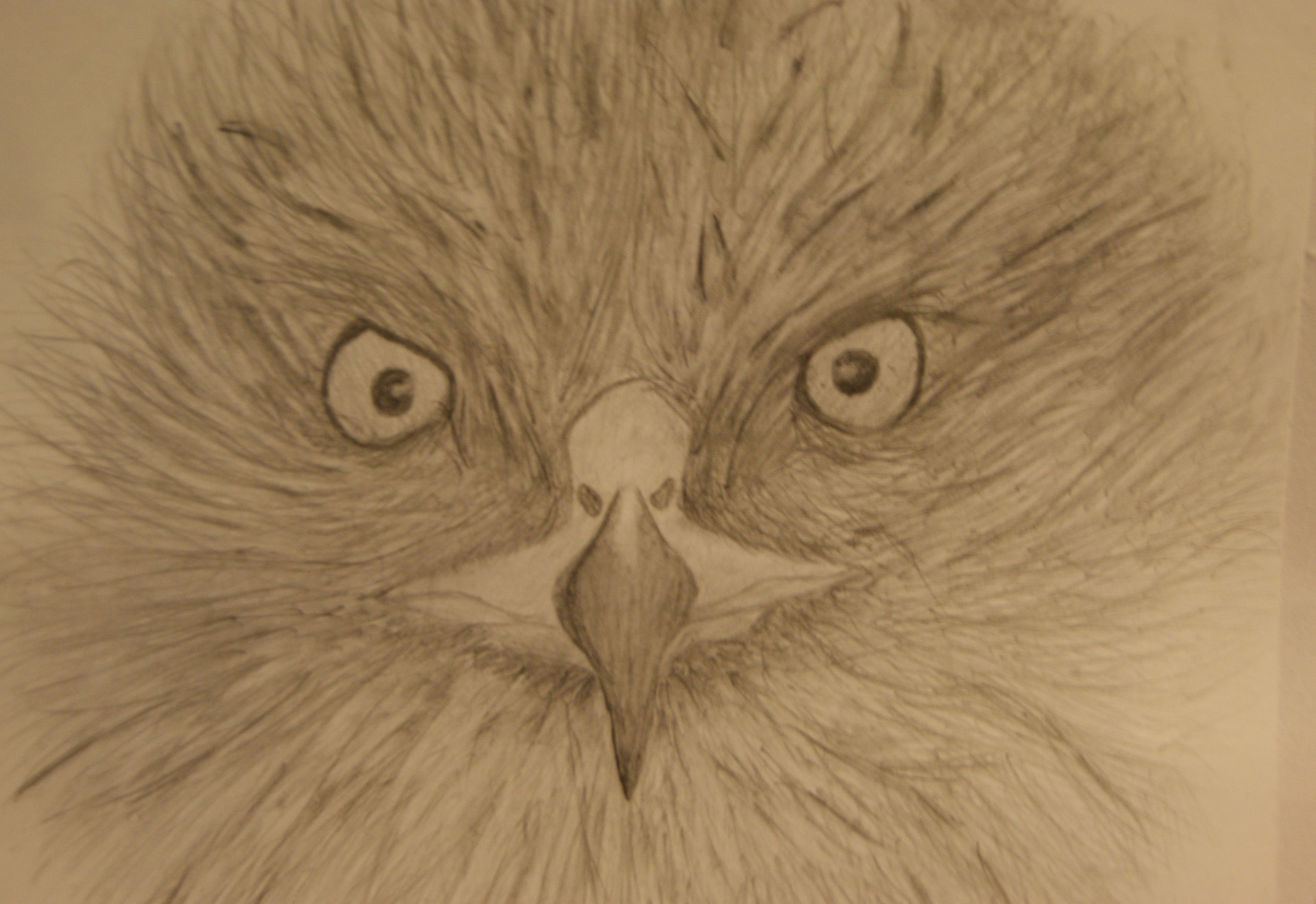 ArtStation - red kite