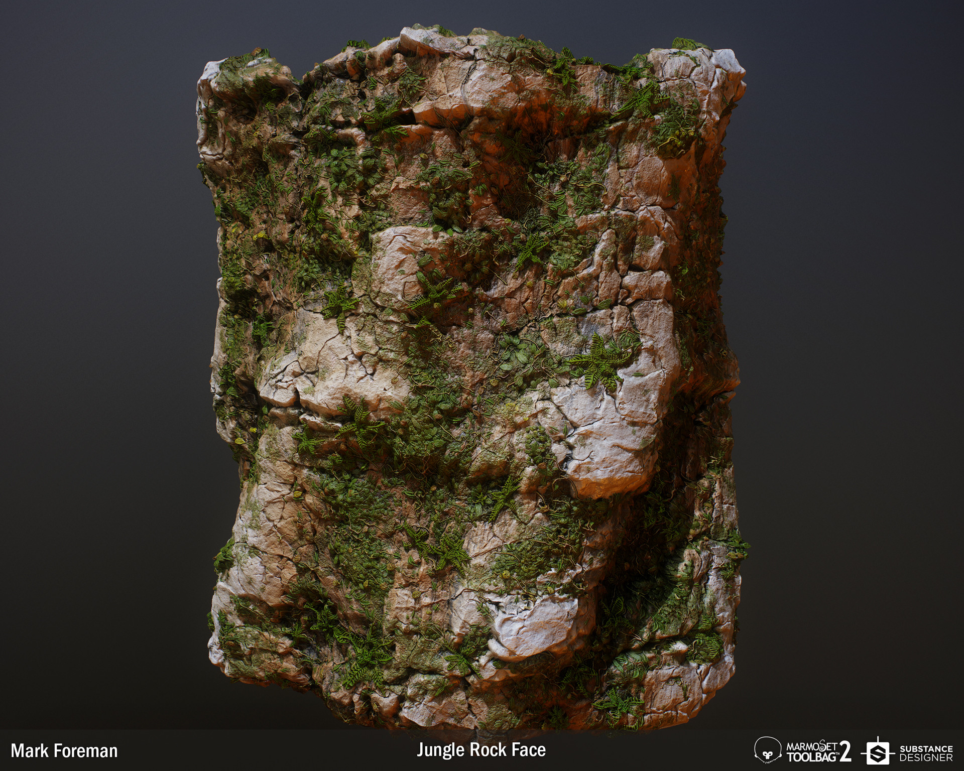 Mark Foreman - Jungle Rock Face Substance