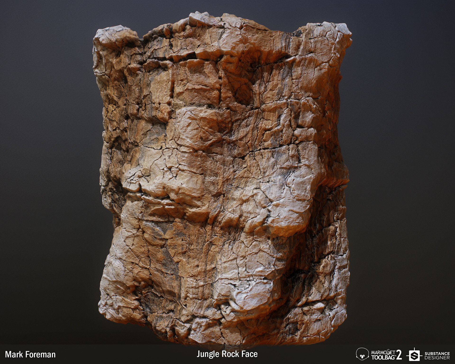 Mark Foreman - Jungle Rock Face Substance