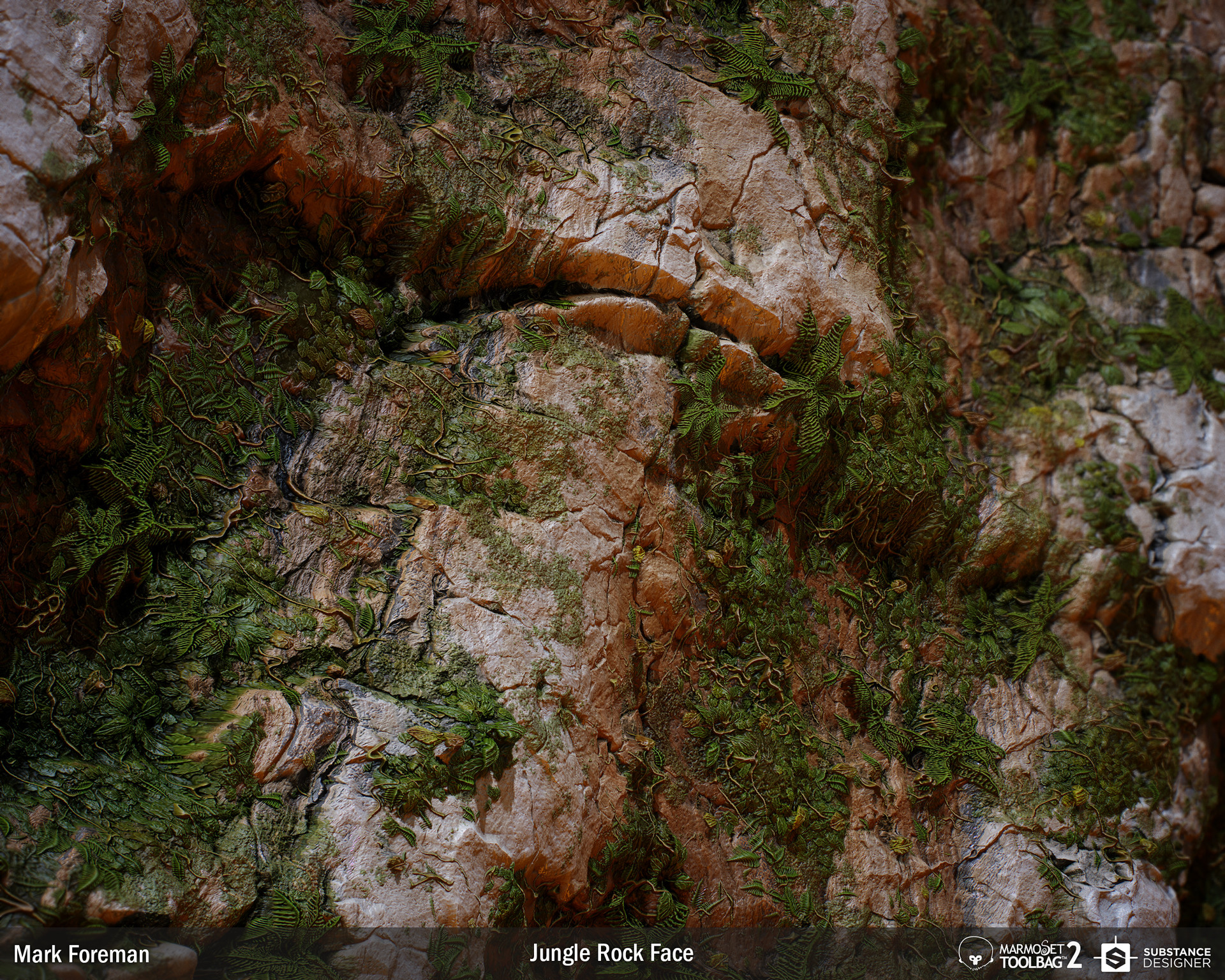 Mark Foreman - Jungle Rock Face Substance
