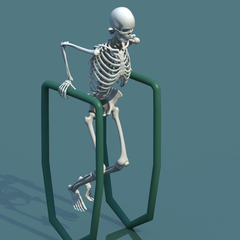 Stephan Plotnicov - 3d model human skeleton
