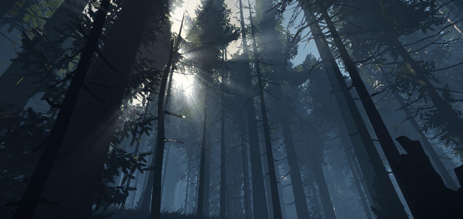 ArtStation - Cryengine Mystical Forest