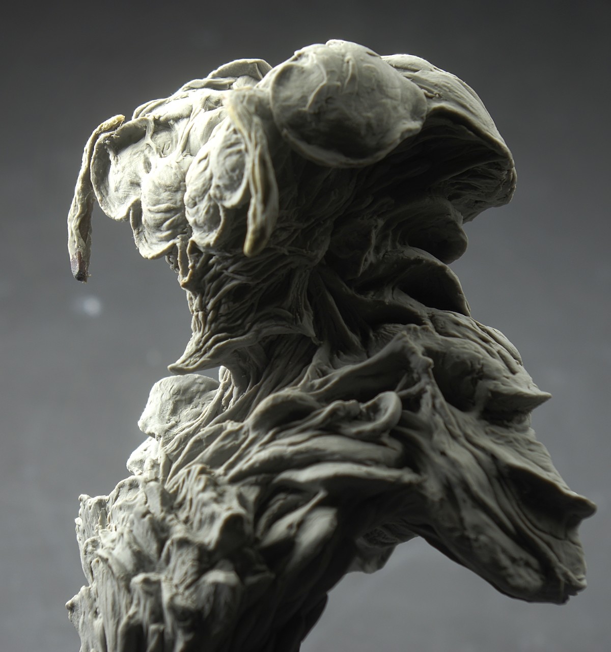 Syu-ichi Kawata - Fungus man bust model