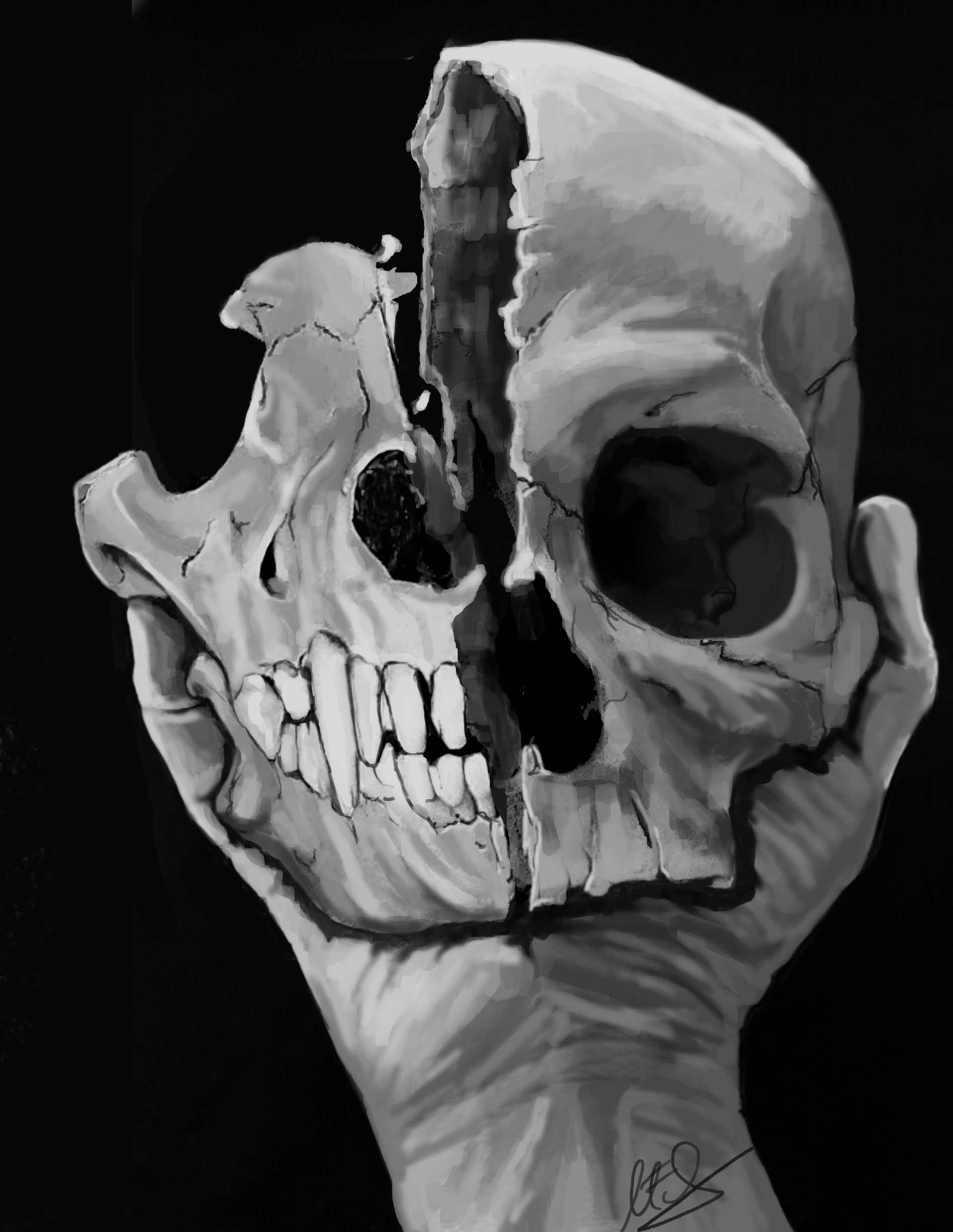 half wolf half human drawing