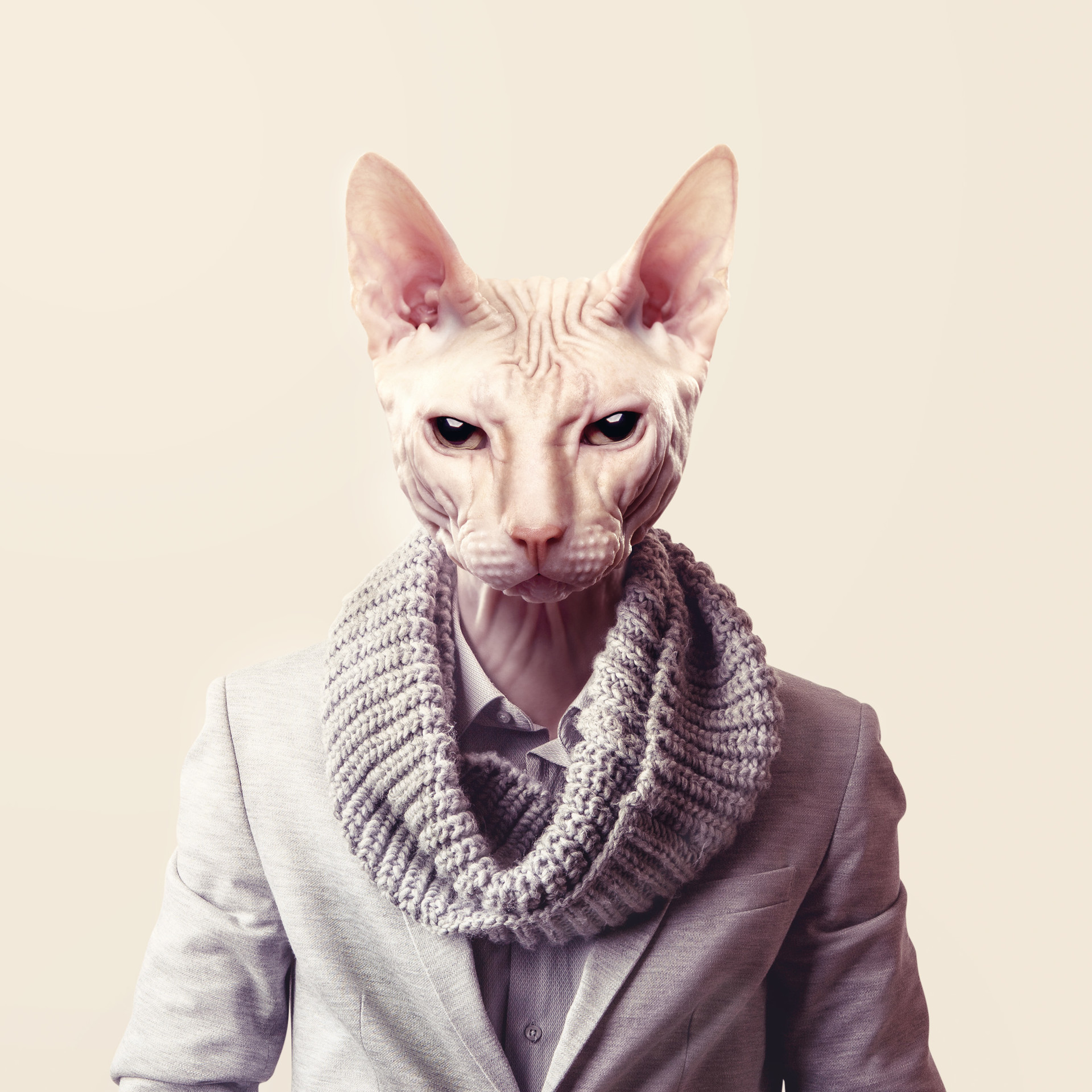 ArtStation - Cat Beings