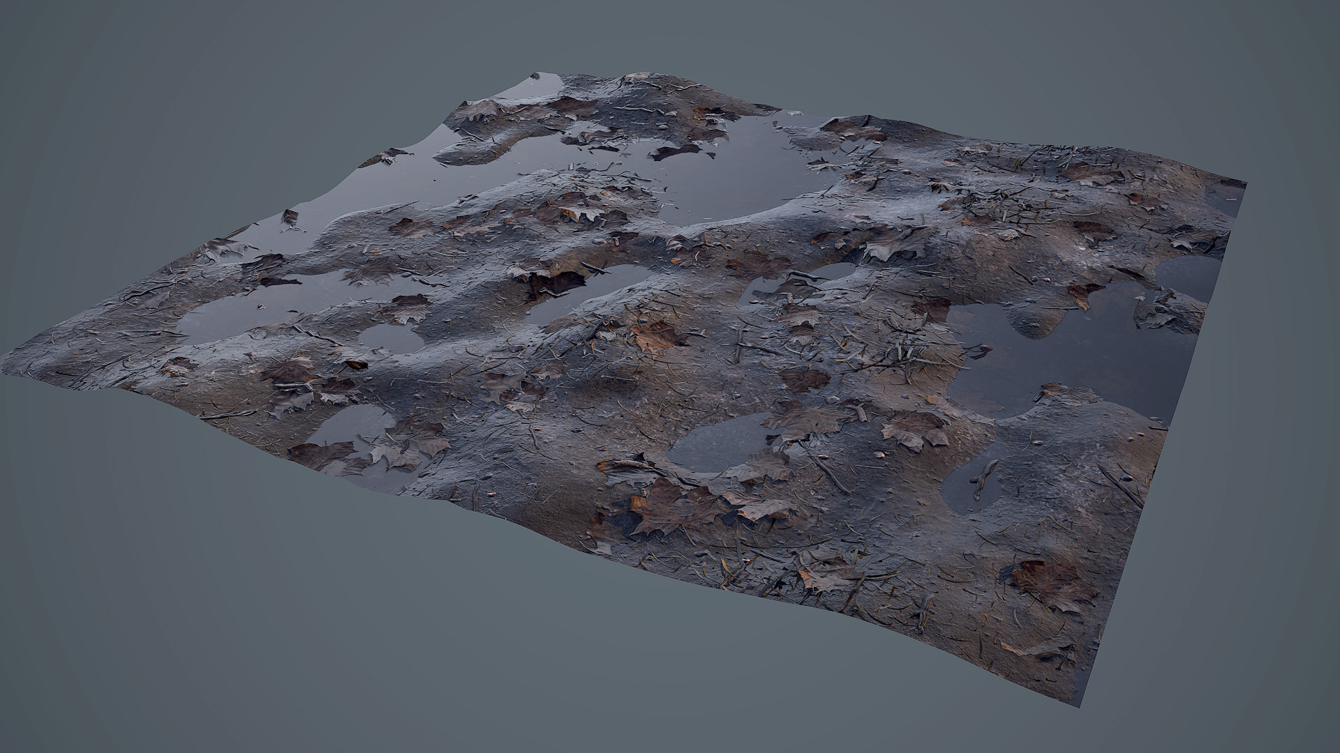 Patrick Bormann - tileable muddy forest ground