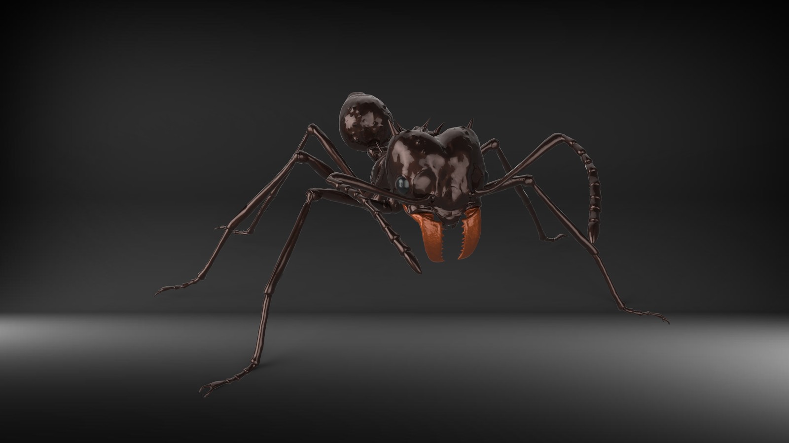 Jevgeny Sailor - Leafcutter Ant - Acromyrmex Octospinosus