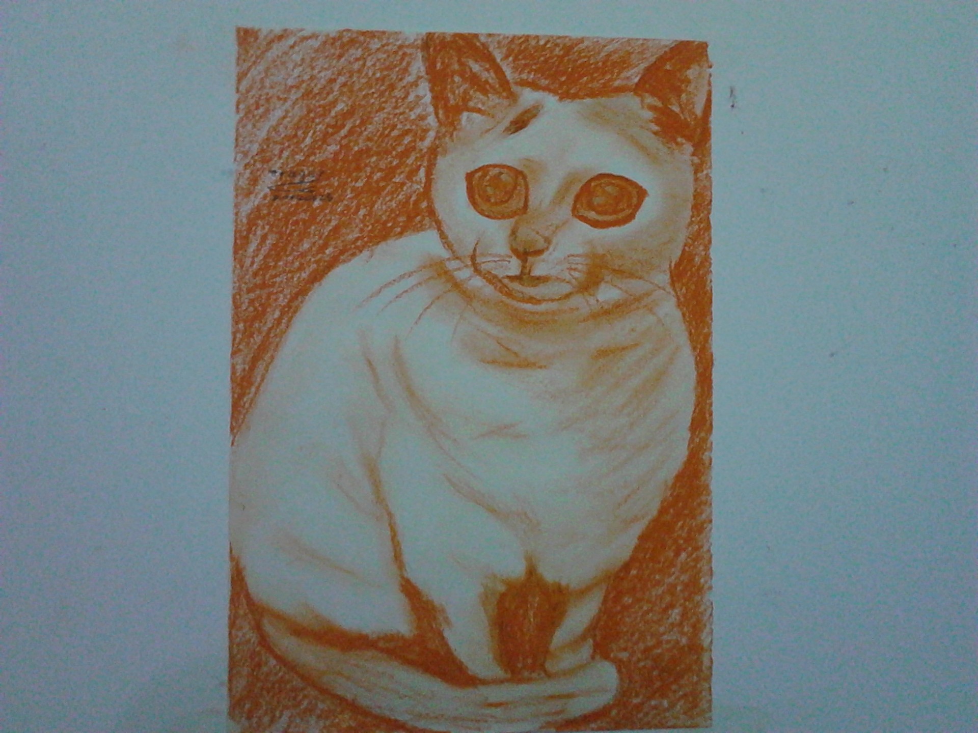 Tristan Trager - A cat named Million