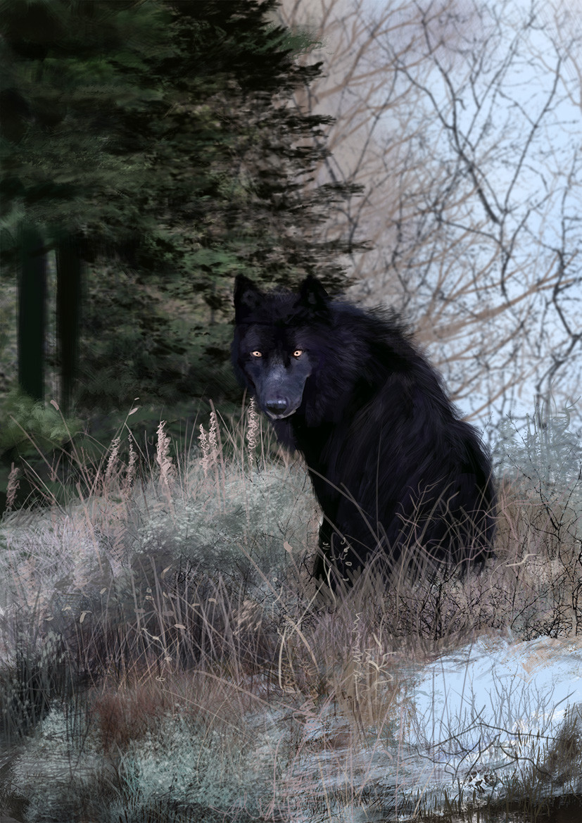 ArtStation - Black Wolf