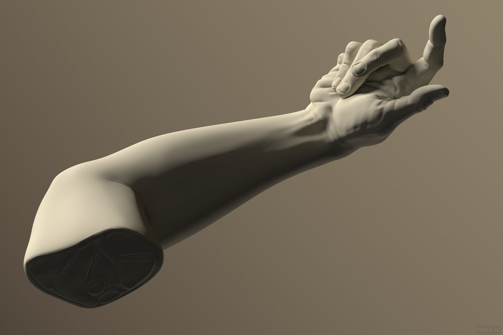 ArtStation - Arm speedsculpt