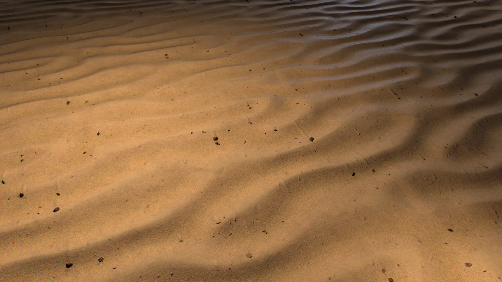 Doru Butz - Savanna Environment Sand