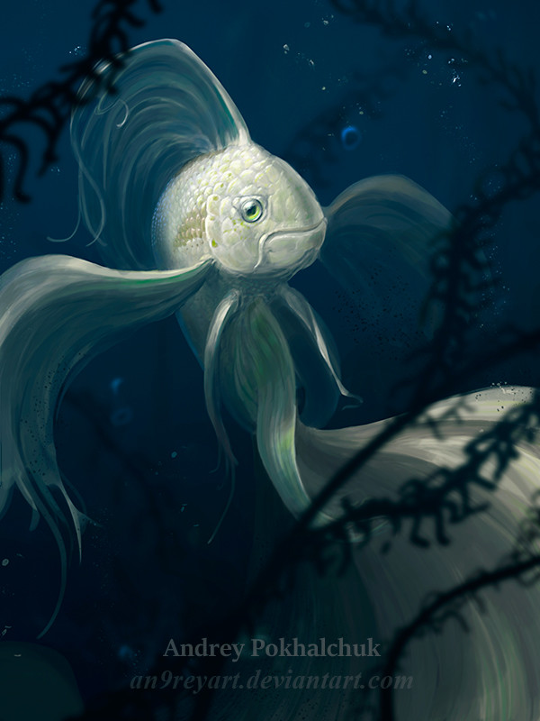 ArtStation - Illustrations with fish